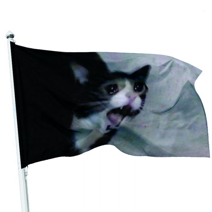 Crying Cat Meme | Meme 3x5 Standard Flag | USA Made